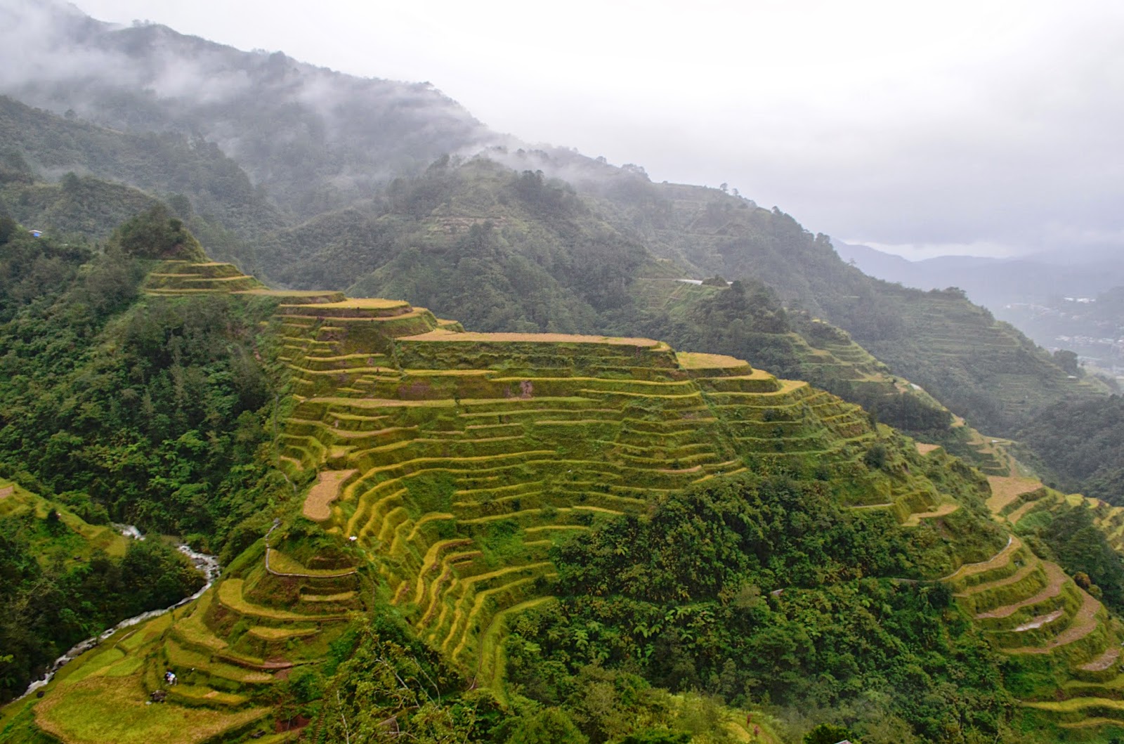 Banaue Rice Terraces - Aralin Philippines