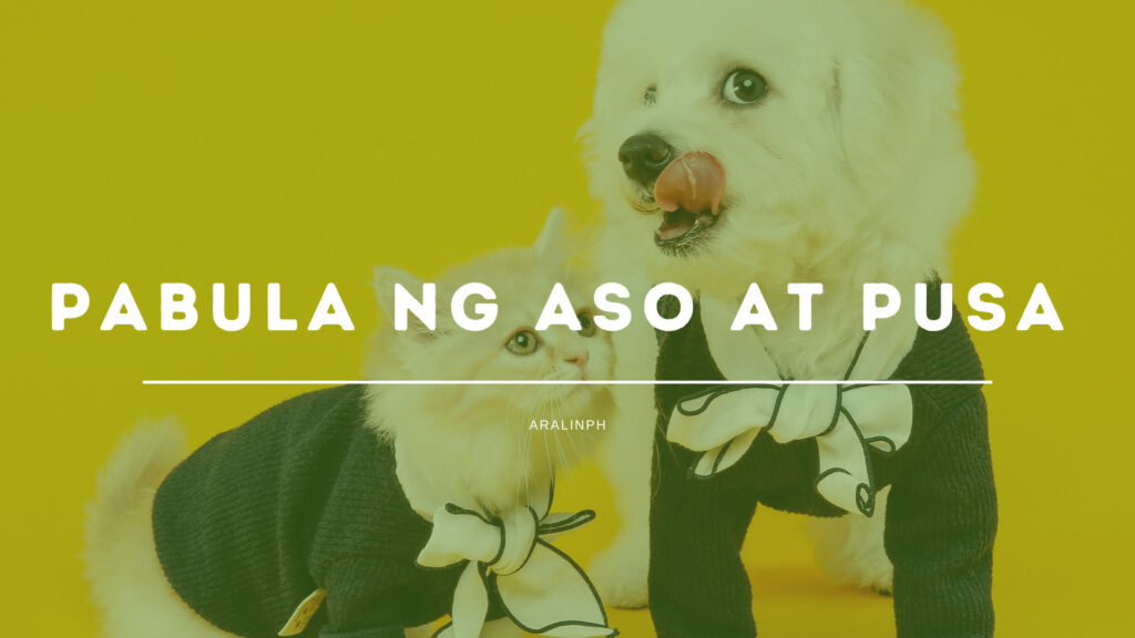 Pabula ng Aso at Pusa - Aralin Philippines