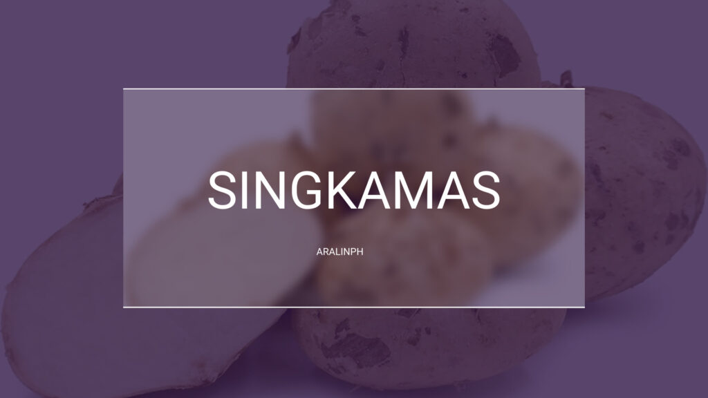 Singkamas - Aralin Philippines